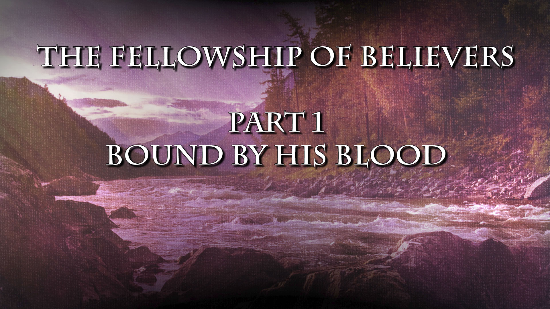 The Fellowship of Believers -Part 1 – Bound By His Blood – June 28th ...
